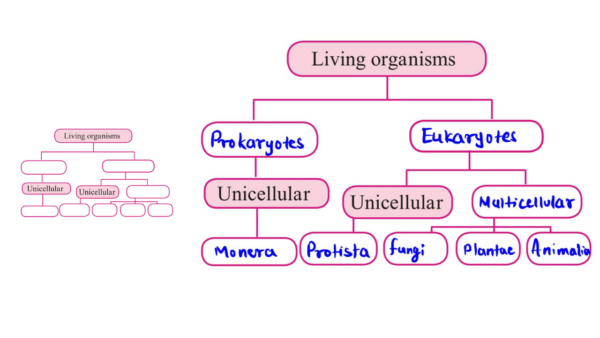 Class 8 | Science | Chapter 1 | Living World and Classification of ...