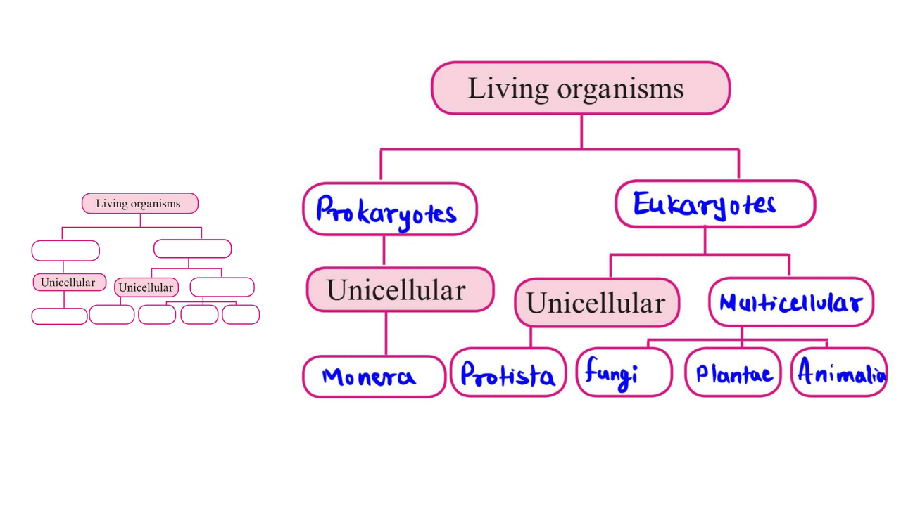 Class 8 | Science | Chapter 1 | Living World and Classification of ...