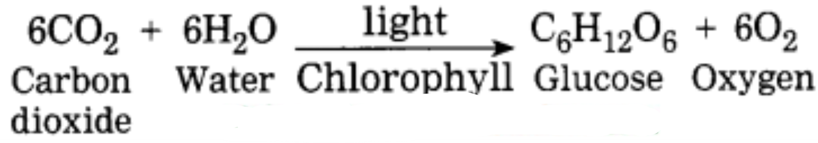 Class 8 | Science | Chapter 6 | Composition Of Matter | Exercise ...
